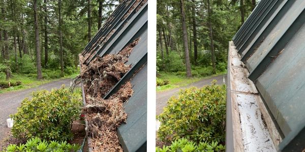 Expert Gutter Cleaning & Moss Removal Services